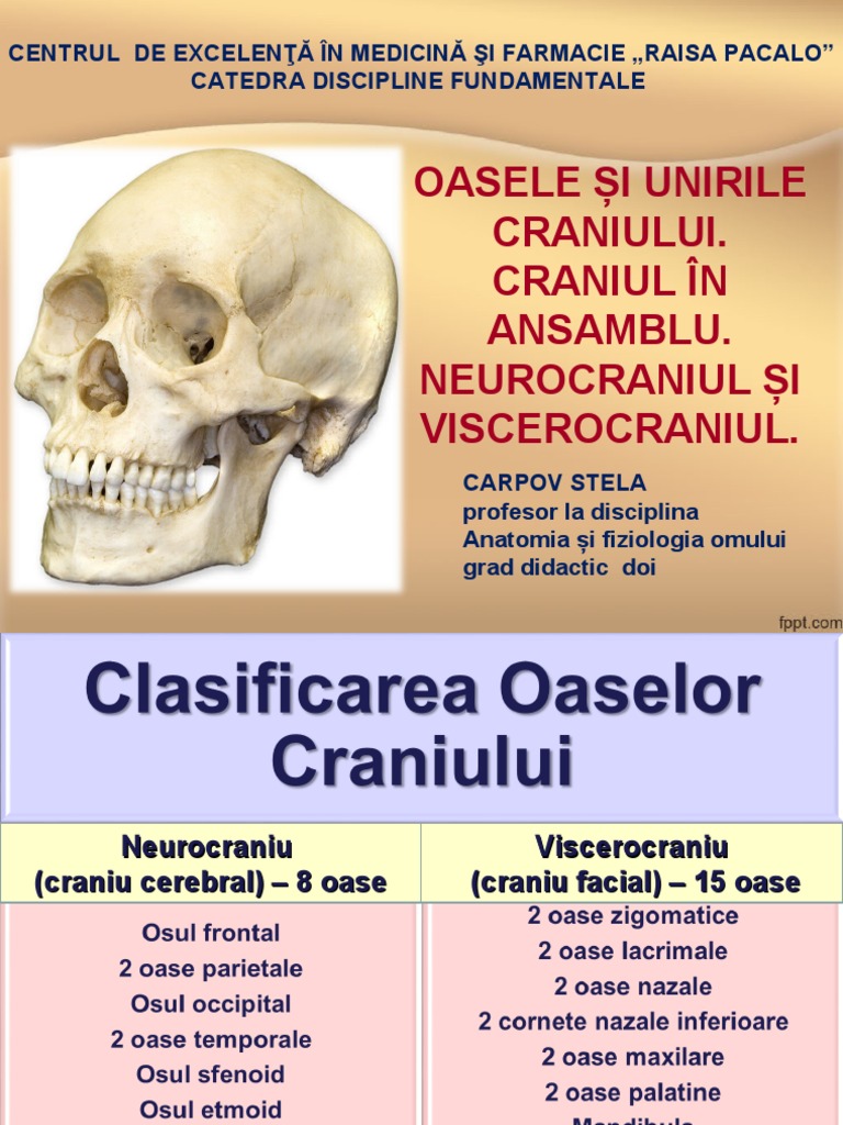 Oasele Și Unirile Craniului. Craniul În Ansamblu. Neurocraniul Și ...