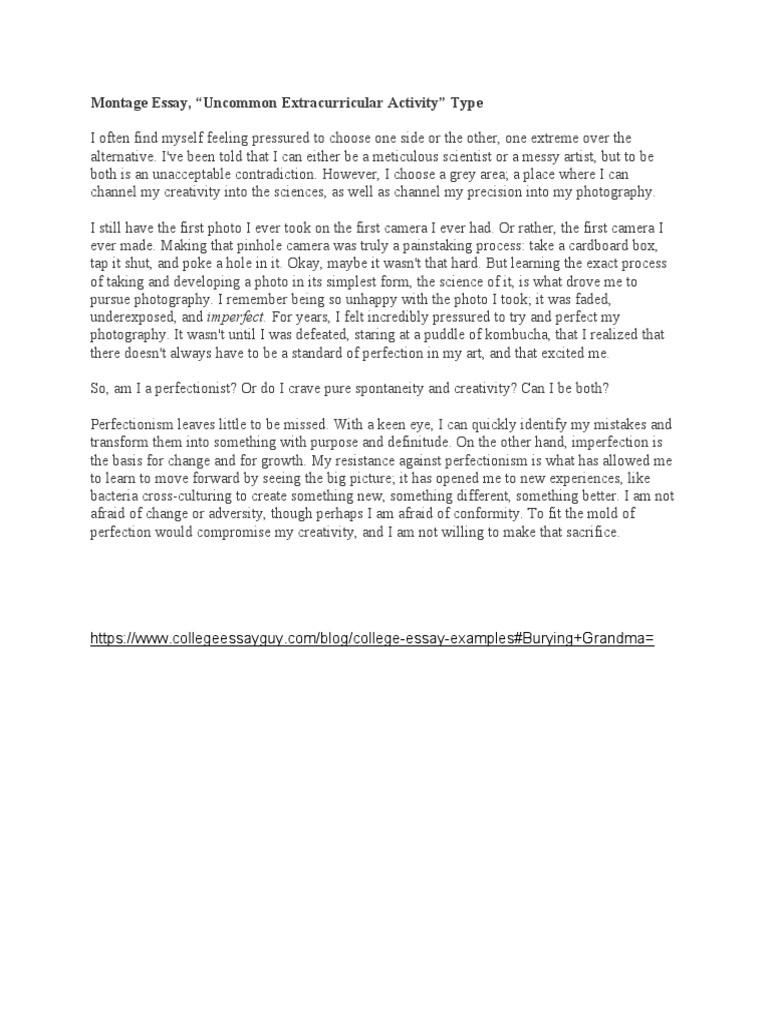 Montage Essay, "Uncommon Extracurricular Activity" Type | PDF