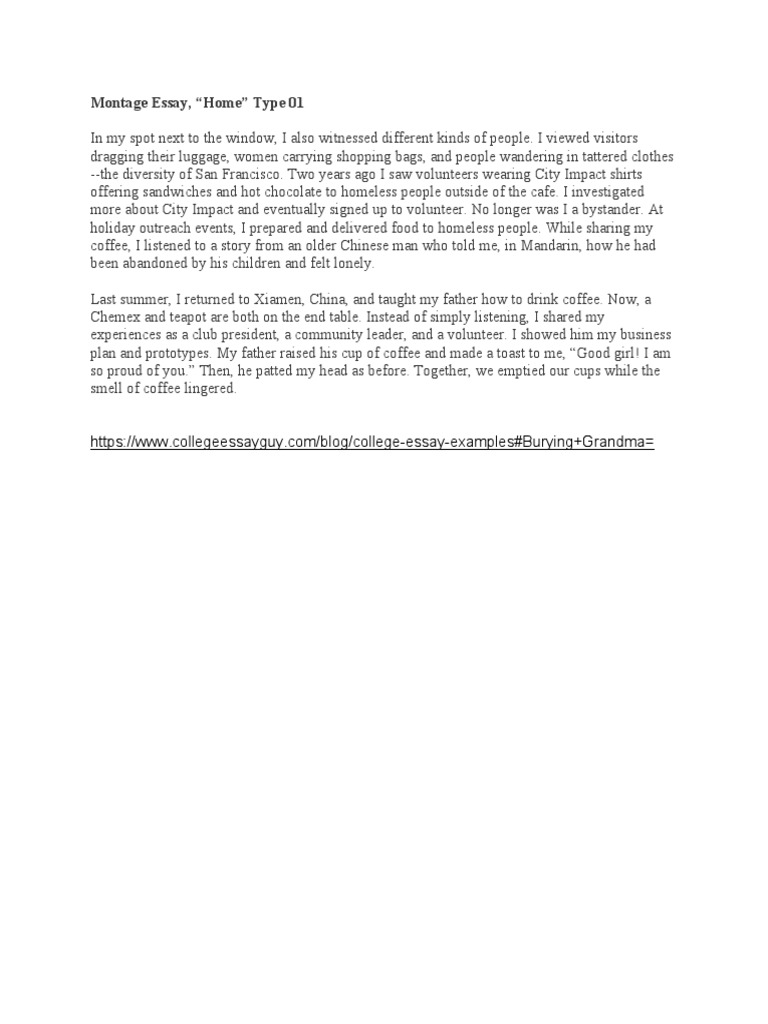 Montage Essay: A Journey Home | PDF