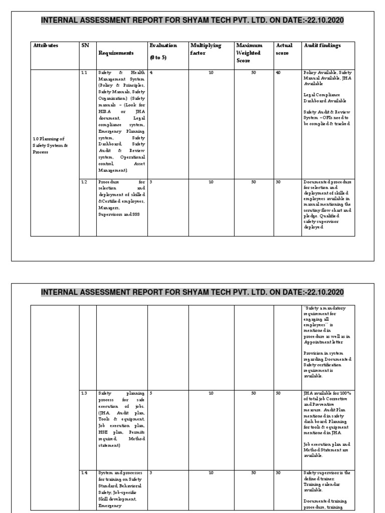 Internal Report | PDF | Audit | Personal Protective Equipment