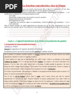 ERCF | PDF | Grossesse | Accouchement