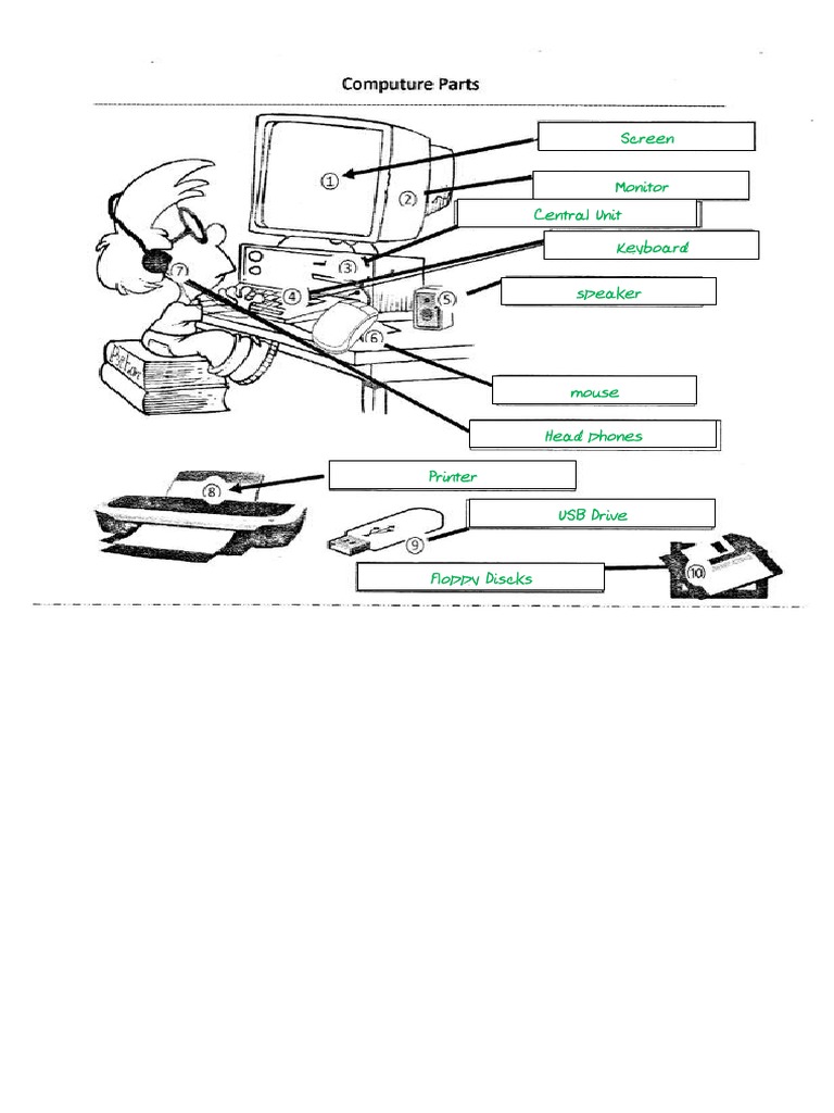 The Essential Components of a Basic Computer System: A Visual Guide | PDF