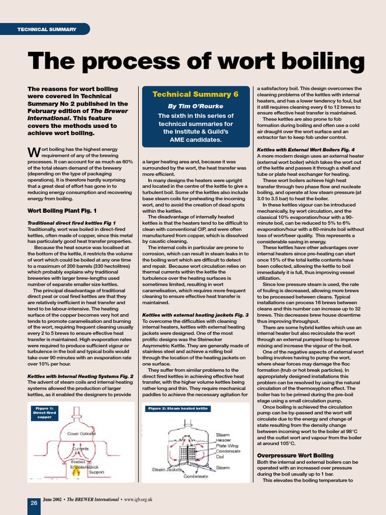 Articlethe Process of Wort Boiling | PDF | Brewing | Boiling