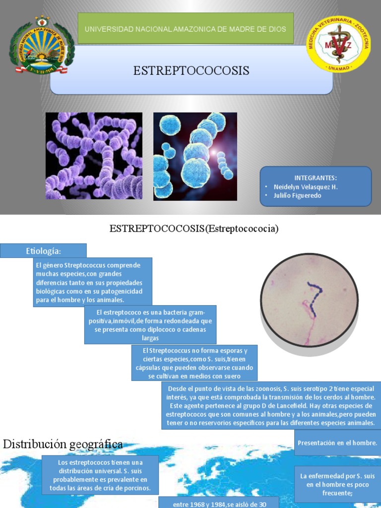 ESTREPTOCOCOSIS (Estreptocococia) | PDF | Estreptococo | Septicemia