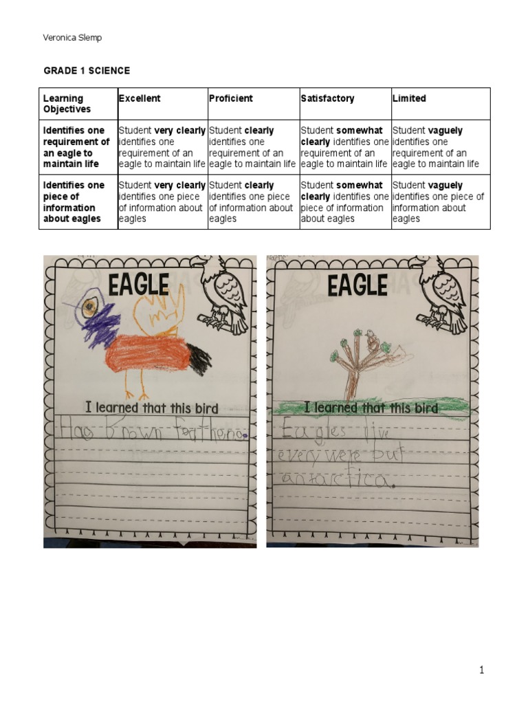 Eagle Assessment | PDF