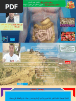 سلسلة تمارين الهضم سنة رابعة متوسط romaissa - prof | PDF