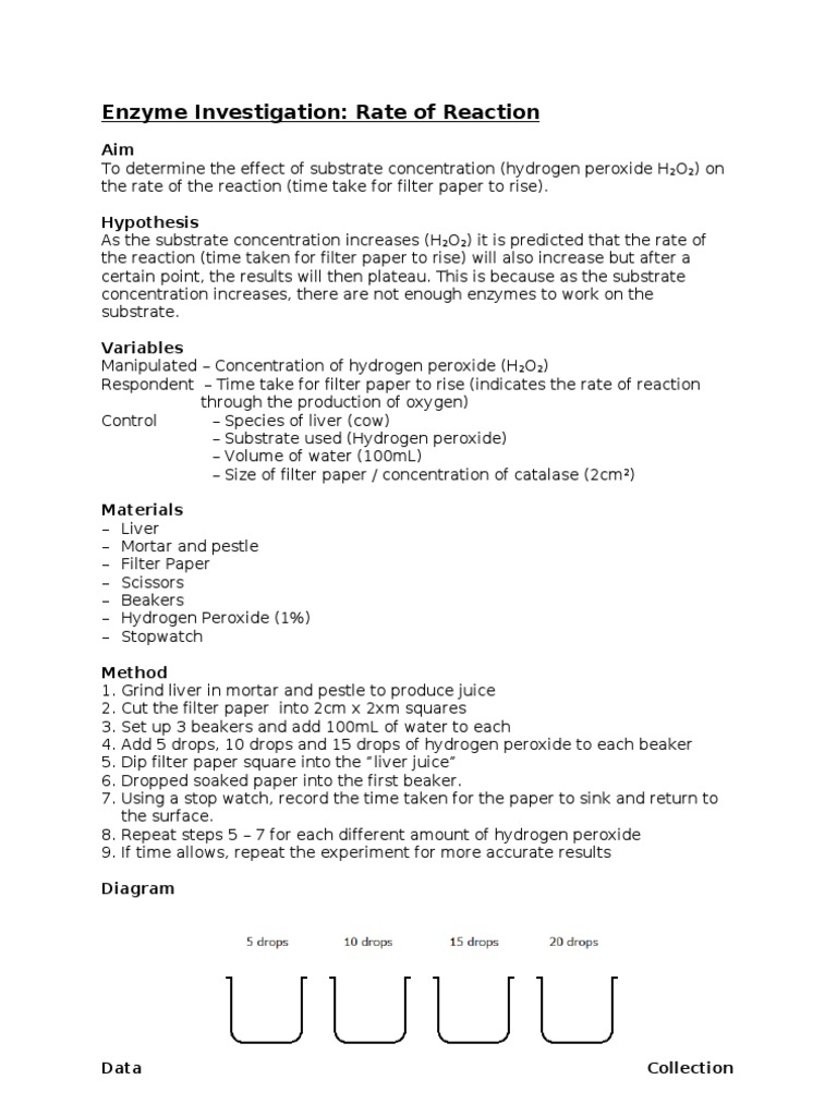 Enzyme Investigation 2011 | PDF | Substrate (Chemistry) | Hydrogen Peroxide