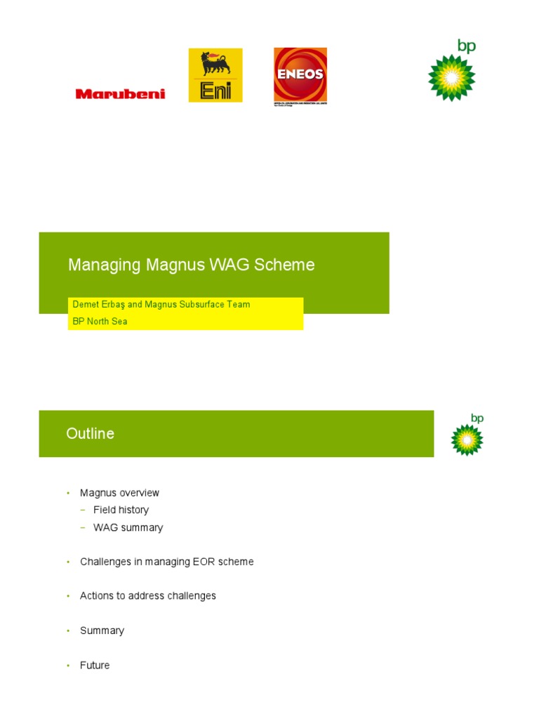 Wag Dashboard | PDF | Enhanced Oil Recovery | Oils