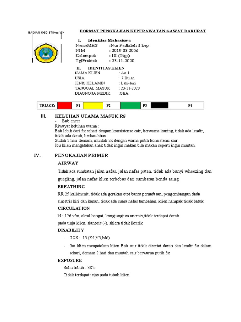 Resume Gea Gadar | PDF