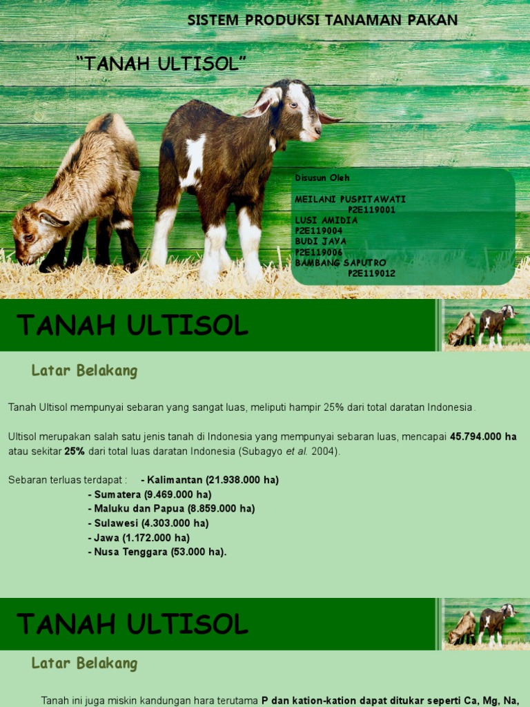 Tanah Ultisol | PDF | Teknologi & Rekayasa