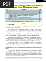 Sistema Baroti | PDF | Barcos | Embarcación