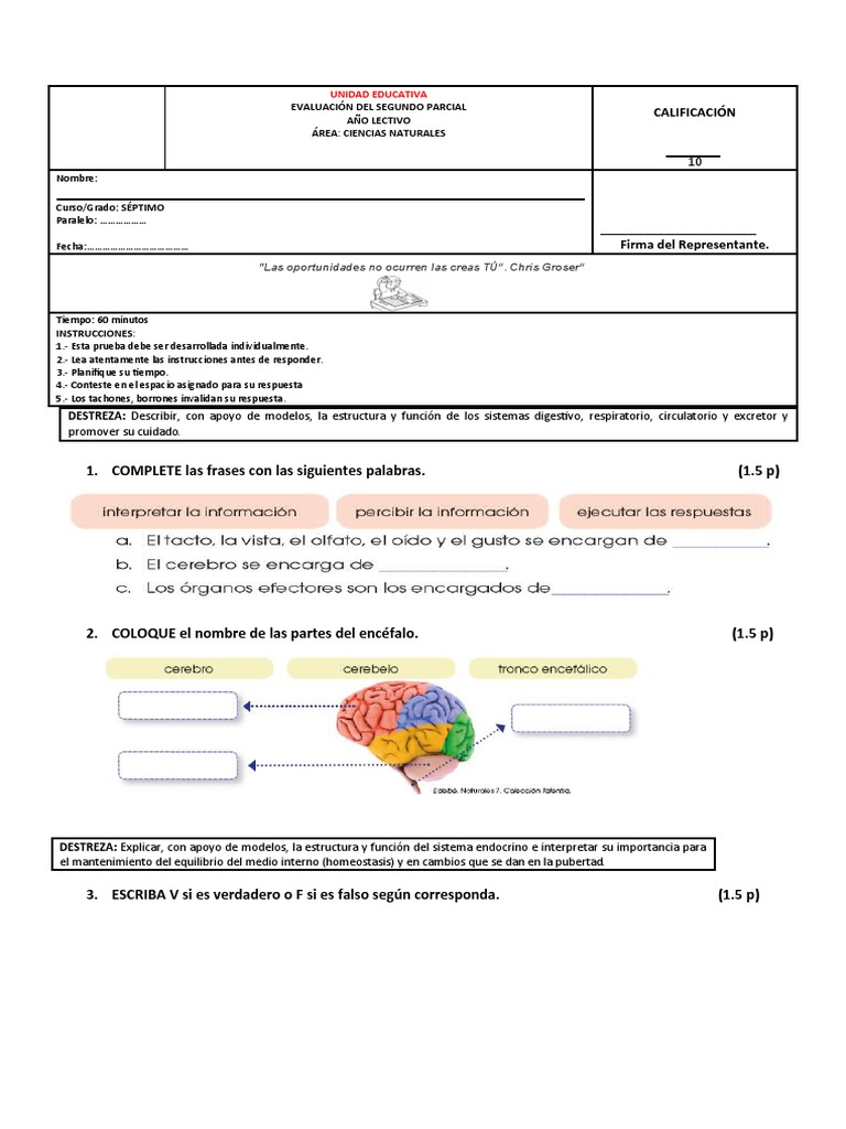 Evaluación 2° Parcial CCNN | PDF | Anatomía | Anatomia animal