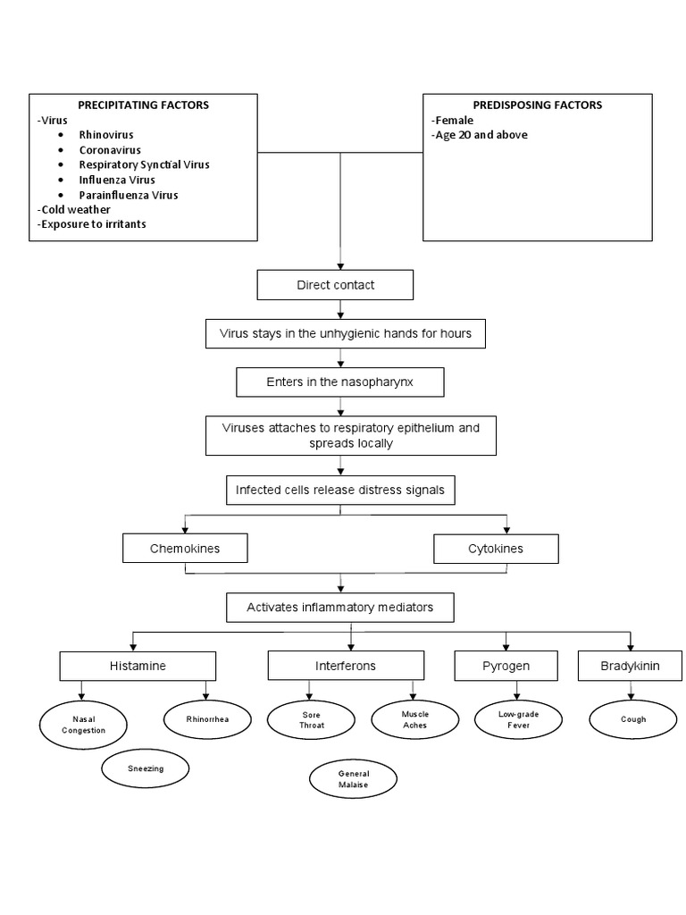 Pathophysio Viral Rhinitis | PDF