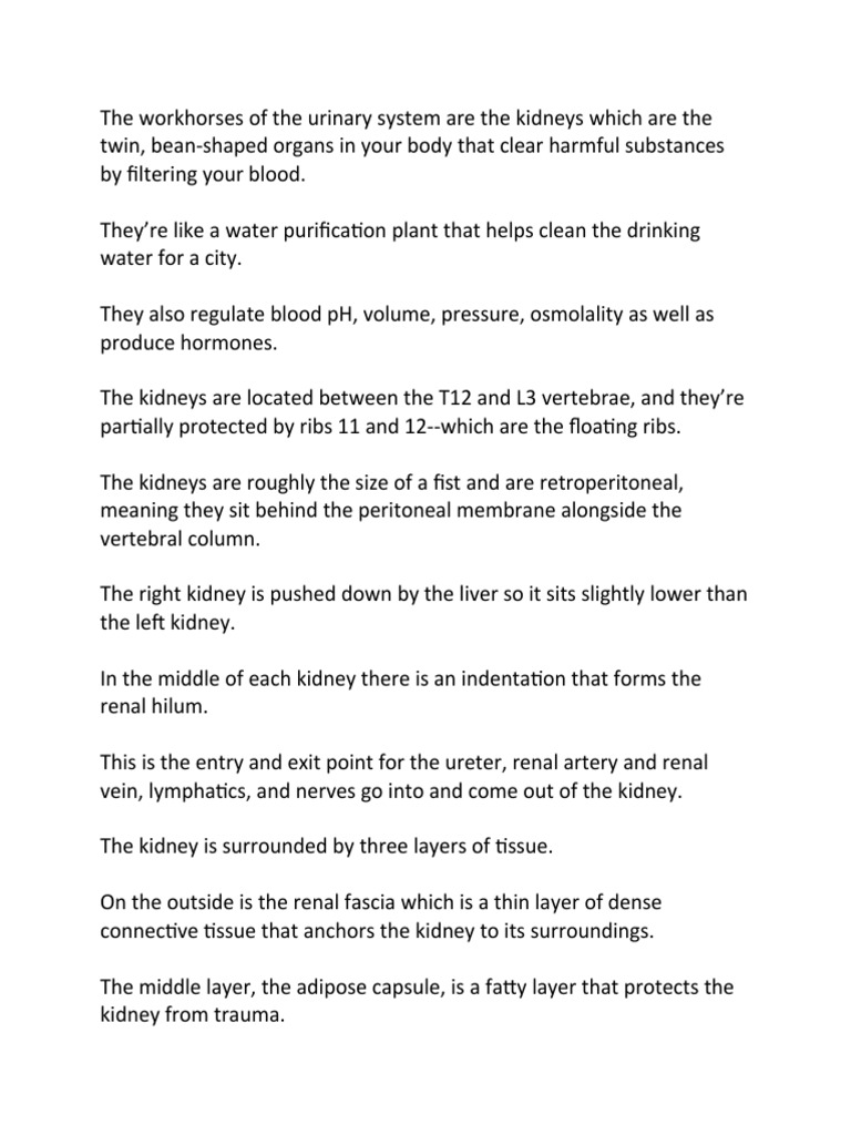 SJFJF | PDF | Kidney | Urinary Bladder