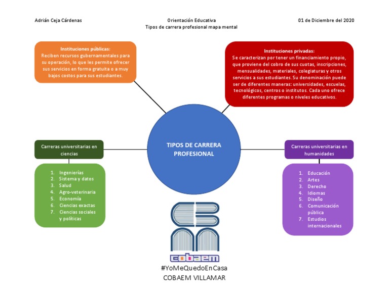 Adrián Ceja Cárdenas. Tipos de Carrera Profesional Mapa Mental | PDF ...