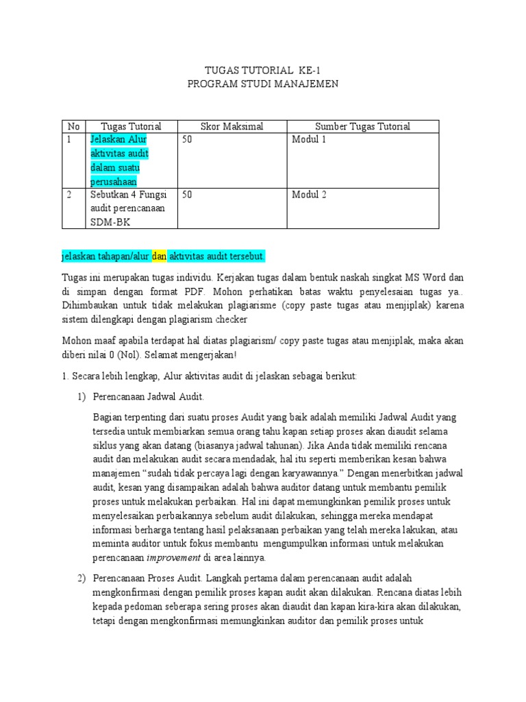 TUGAS 1 Audit SDM 20201 | PDF