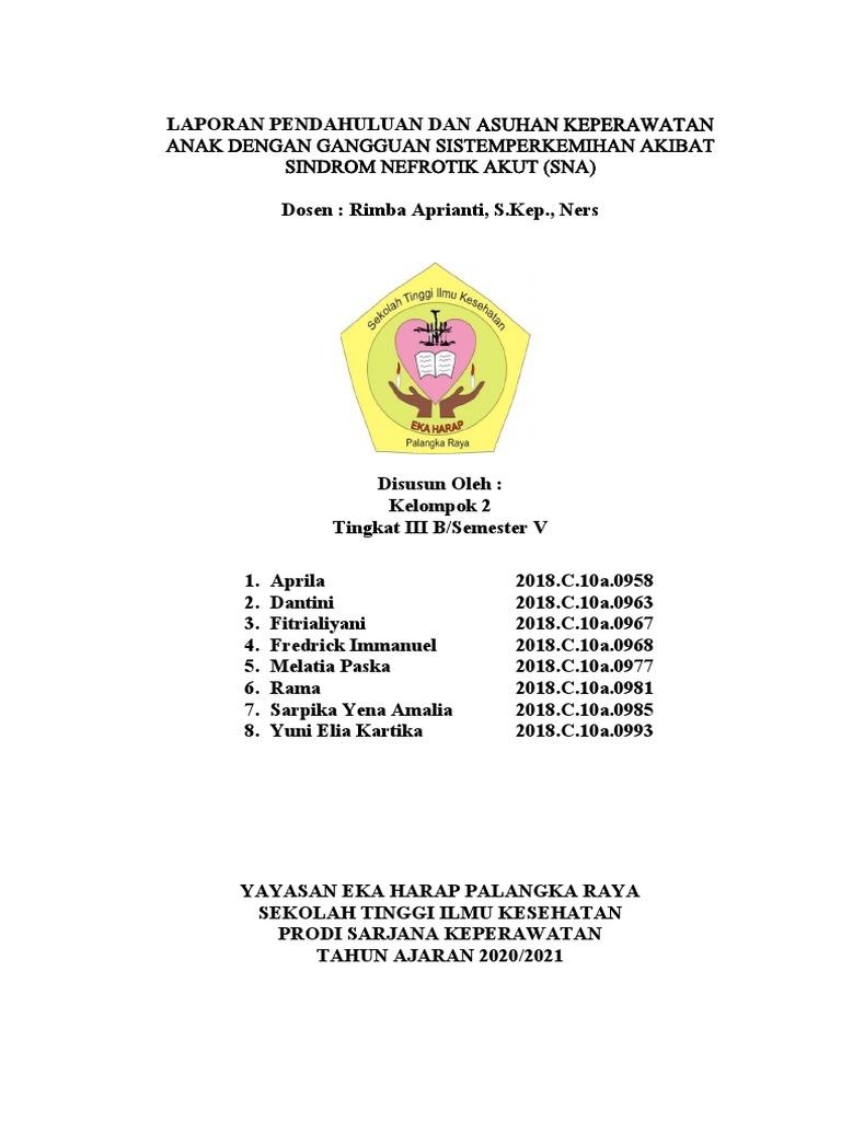 Laporan Askep SNA | PDF