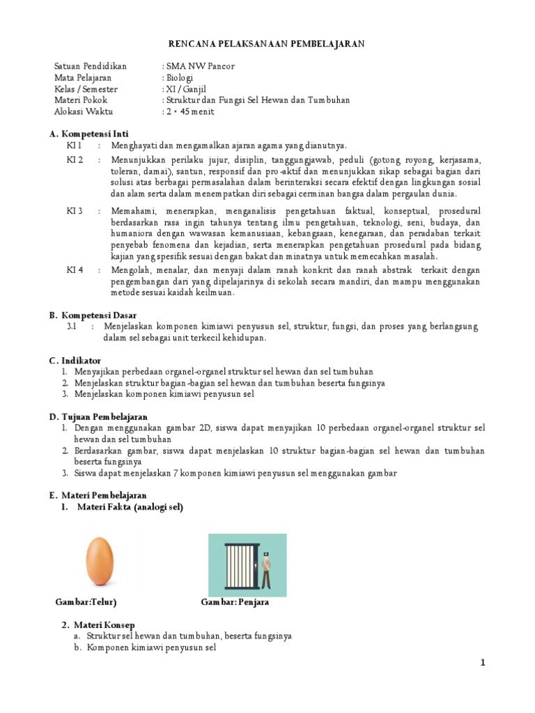 Contoh RPP Sel | PDF