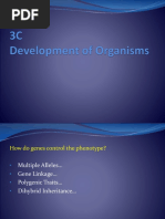 Searles Experiment To Determine The Young Modulus | PDF | Physics ...