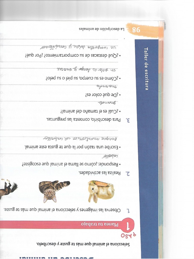 Taller Libro Entre Letras Pag 98 PDF | PDF