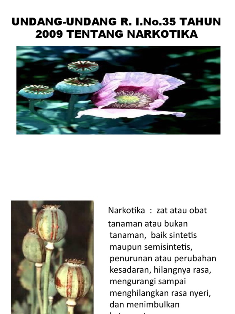 UNDANG-UNDANG Narkotika | PDF