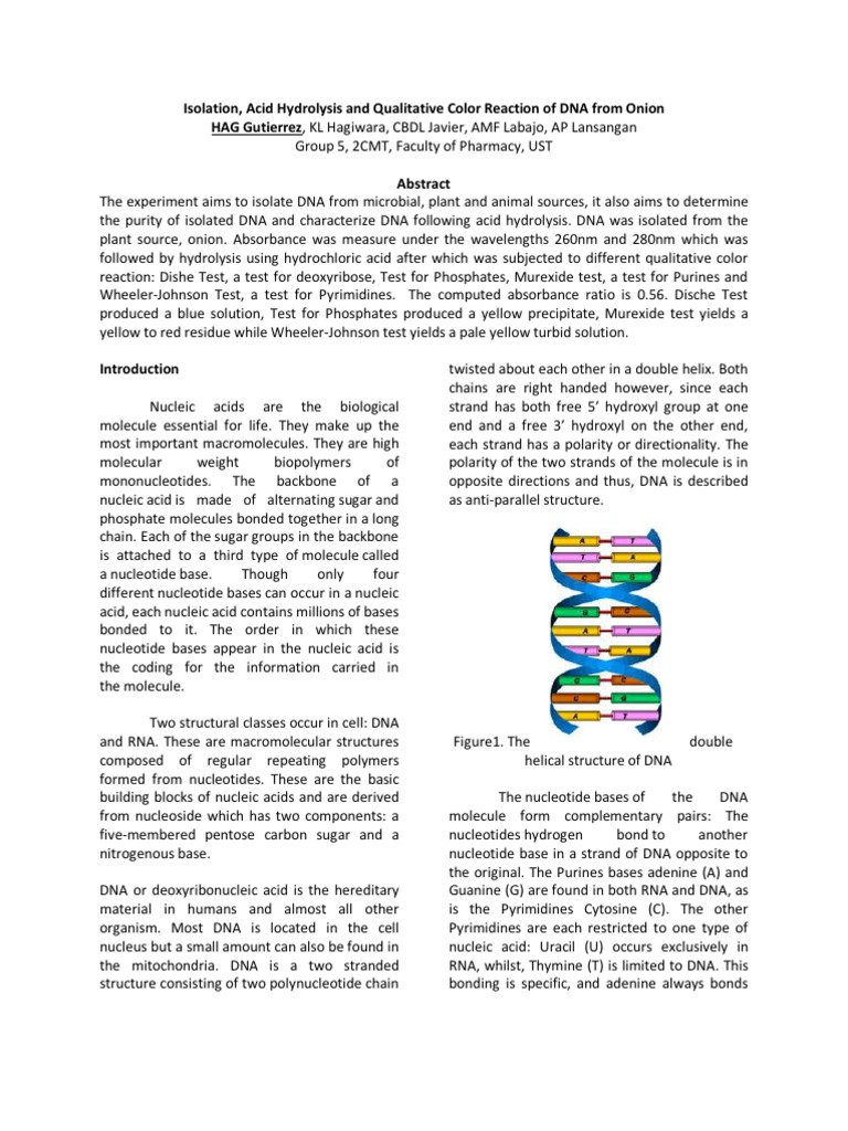 DNA Hydrolysis and Chemical Tests | PDF | Nucleotides | Nucleic Acids