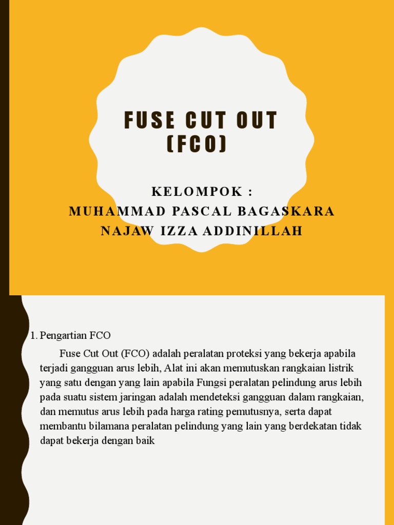 Fuse Cut Out (FCO) | PDF