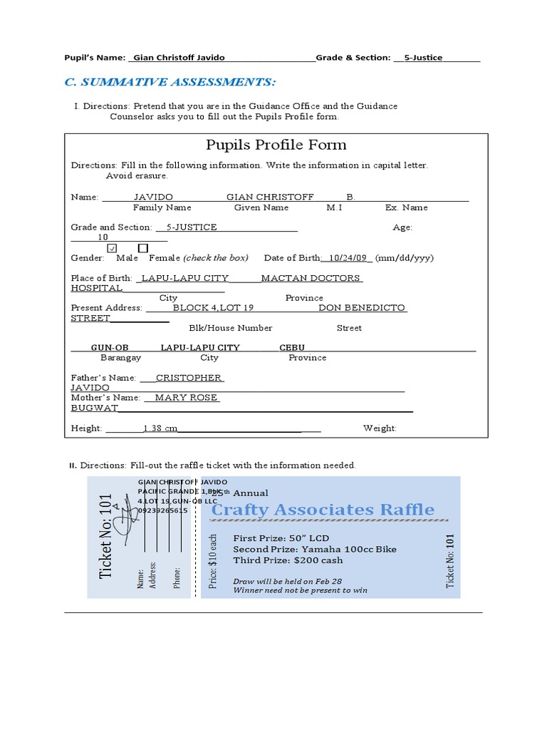 Pupils Profile Form: C. Summative Assessments | PDF | Social Science