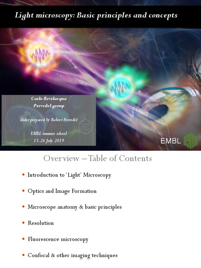 Light microscopy: Basic principles and concepts | PDF | Microscopy ...