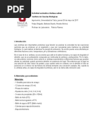 Función y actividad de la ptialina | PDF | Digestión | Almidón