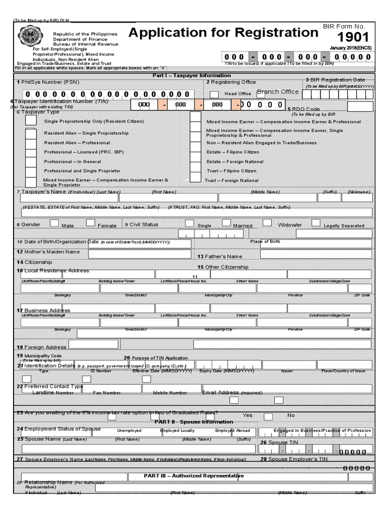Application For Registration: Taxpayer Type | PDF | Receipt | Identity ...