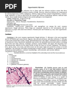 Nugent Score for Bacterial Vaginosis | PDF | Clinical Pathology ...