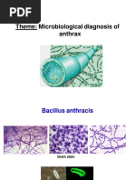 Anthrax Laboratory Diagnosis Methods | PDF | Anthrax | Bacillus