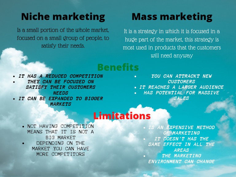 Niche vs. Mass Marketing Strategies | PDF