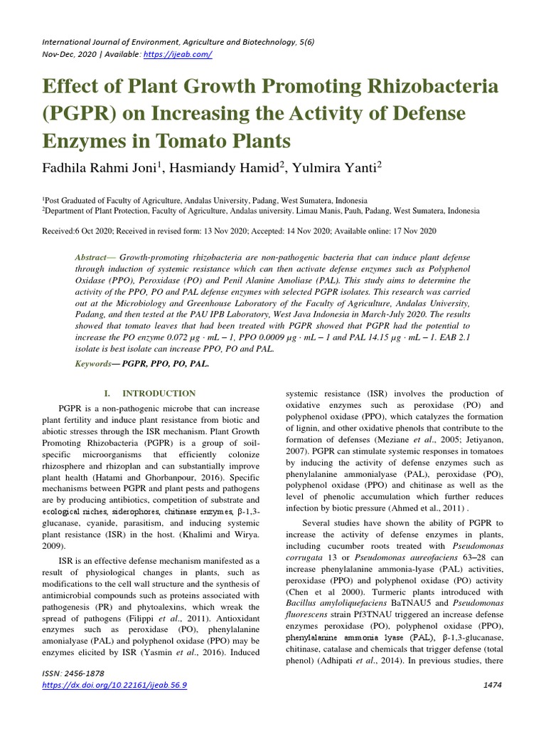 Effect of Plant Growth Promoting Rhizobacteria (PGPR) On Increasing The ...