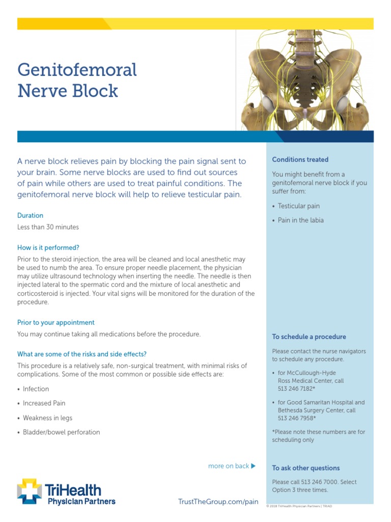 Genitofemoral Nerve Block | PDF | Pain | Anesthesia