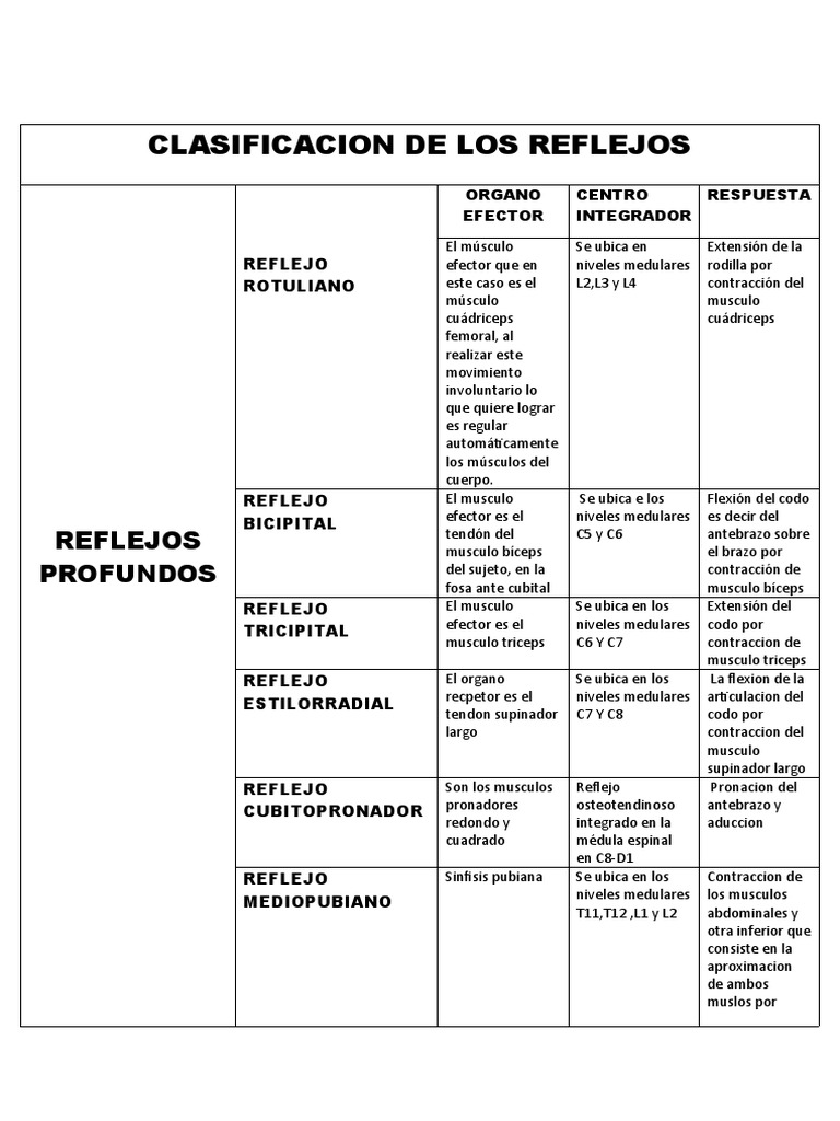 Cuadro de Reflejos | PDF | Codo | Abdomen