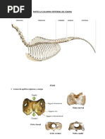 Norma de Pigtograma de Guantes | PDF | Guante | Soldadura