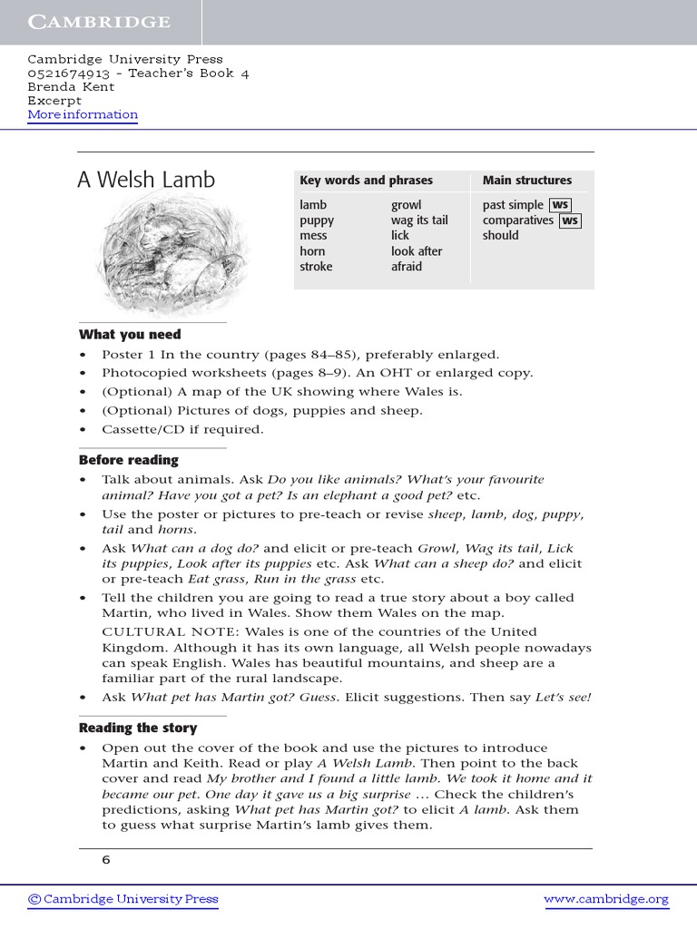 Cambridge Storybooks Level4 Pre Intermediate Teachers Book Sample Pages ...