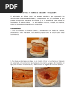 Protocolo Impresión Definitiva para Protesis Total | PDF | Dentadura ...