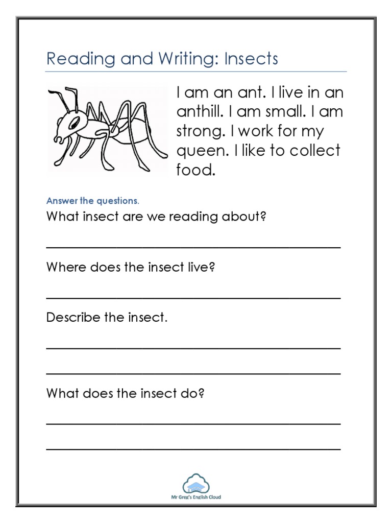 Reading and Writing Insects | PDF | Insects | Fly