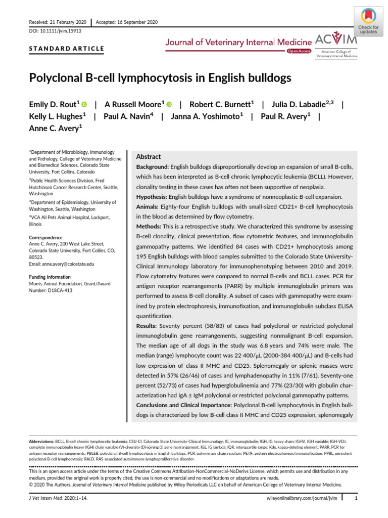 Polyclonal B-Cell Lymphocytosis in English Bulldogs | PDF | Antibody ...