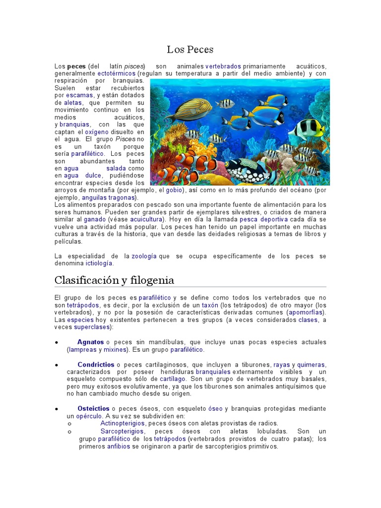Los Peces | PDF | Pescado | Vertebrados
