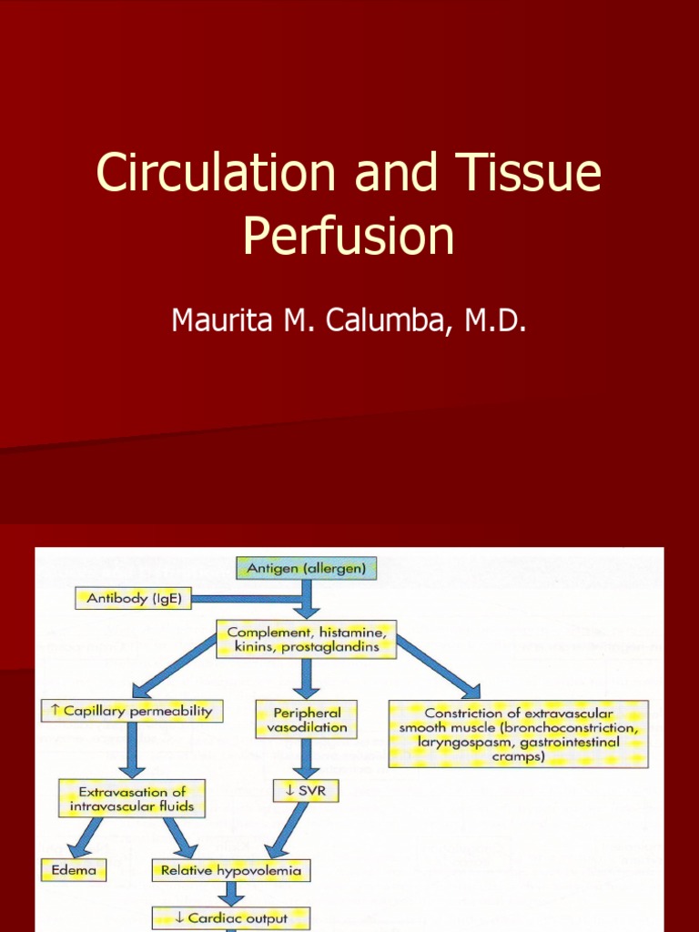 Circulation and Tissue Perfusion Insights | PDF