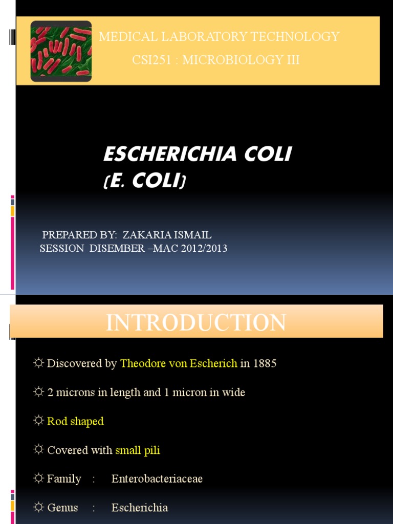 L4 - Escherichia Coli SPP | PDF | Escherichia Coli | Diarrhea