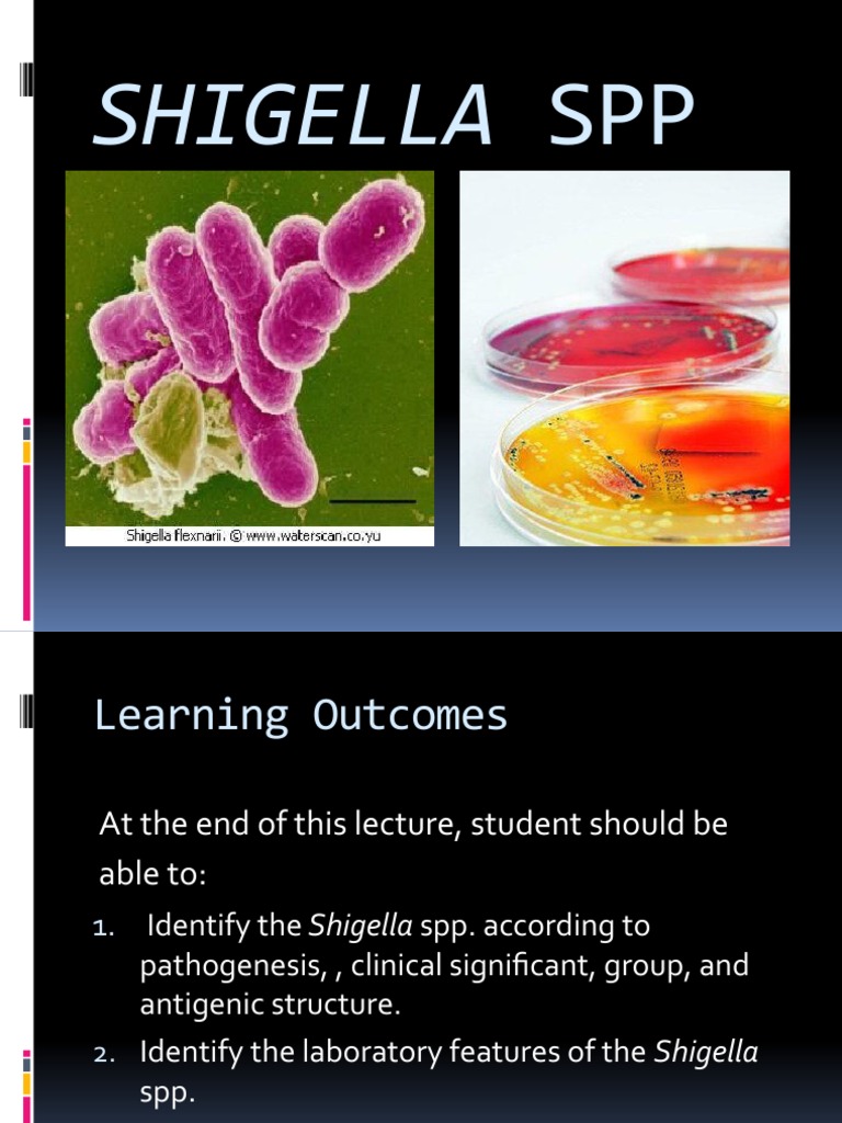 Shigella spp: Bacillary Dysentery Overview | PDF | Serotype | Epithelium