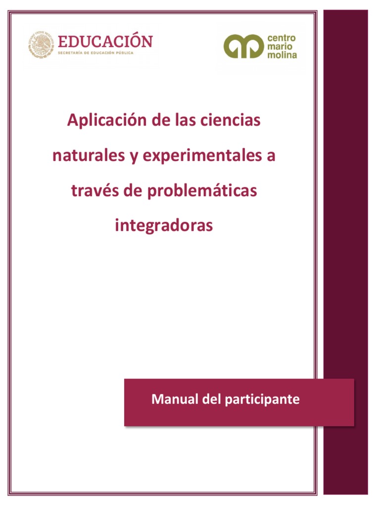 Manual Del Usuario CMM Cursos COSDAC 2020-16744 | PDF | Computación en ...