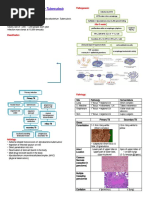 Deworming Checklist | PDF