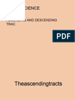 Ascending and Descending Tracts | PDF | Spinal Cord | Central Nervous System