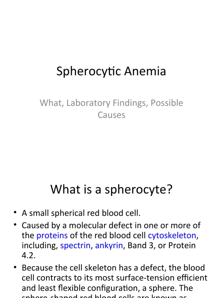 Spherocytic Anemia: Causes & Lab Findings | PDF | Immunology | Anemia